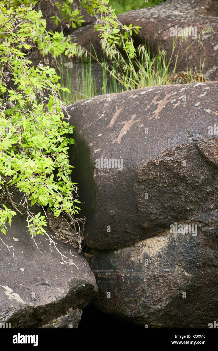 Native American petroglyphs at Buffalo Eddy in the Snake River in Hells ...