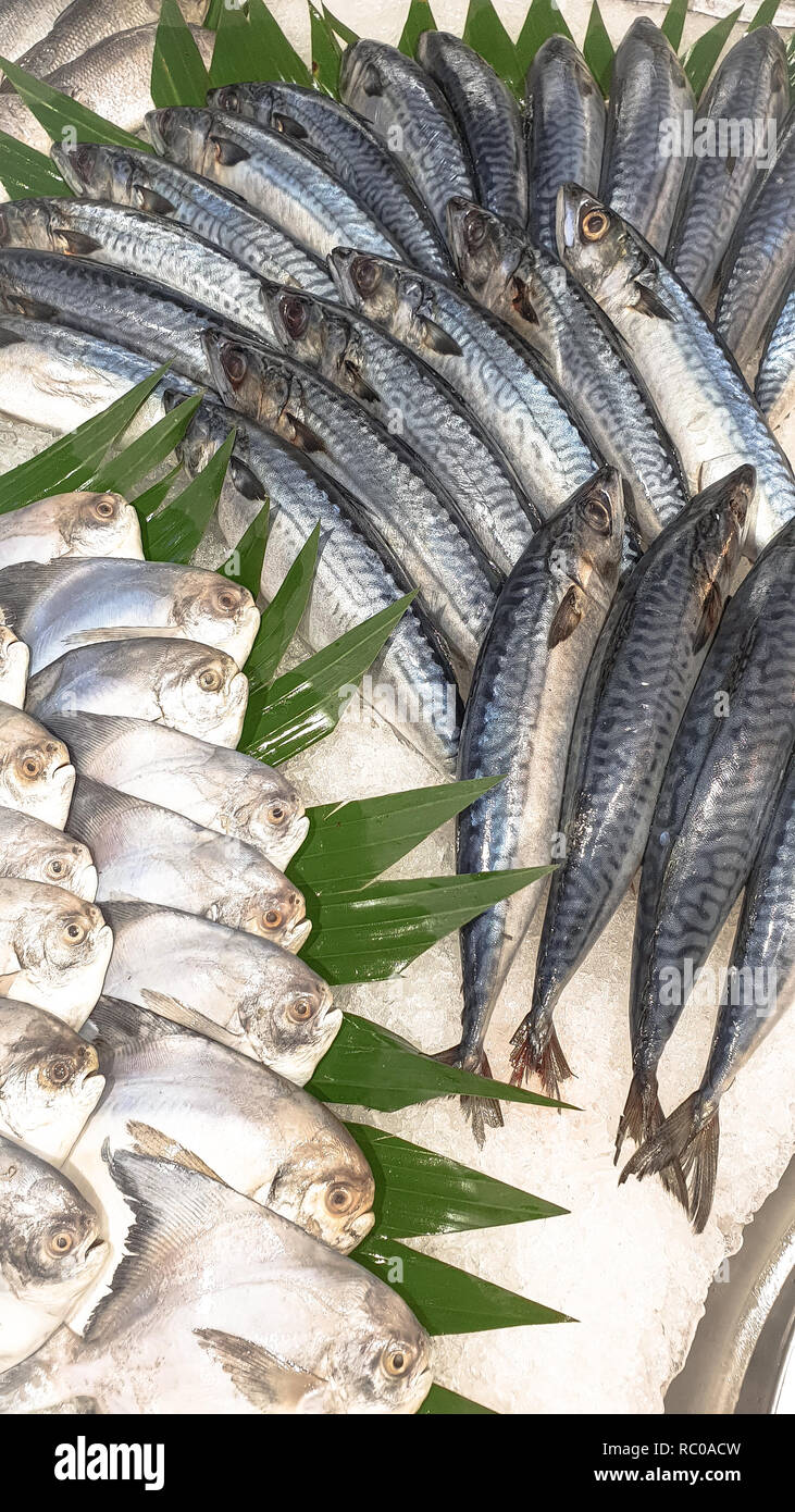 Desplay hi-res stock photography and images - Alamy