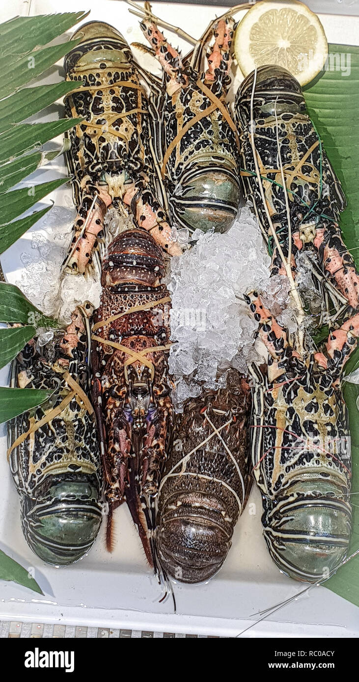 Desplay hi-res stock photography and images - Alamy