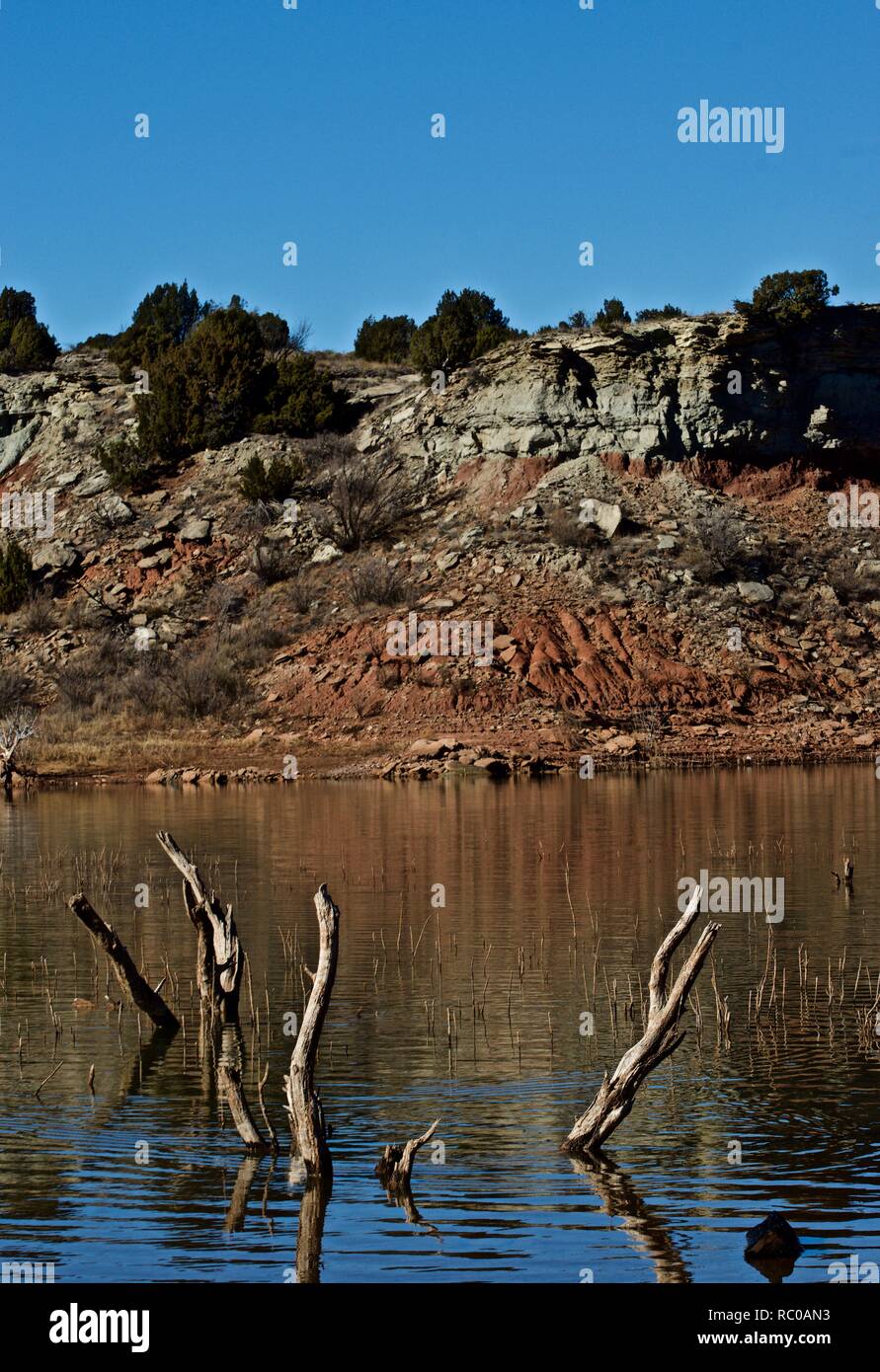 Submerged Timber and Water Reflections along the Shoreline of Lake ...