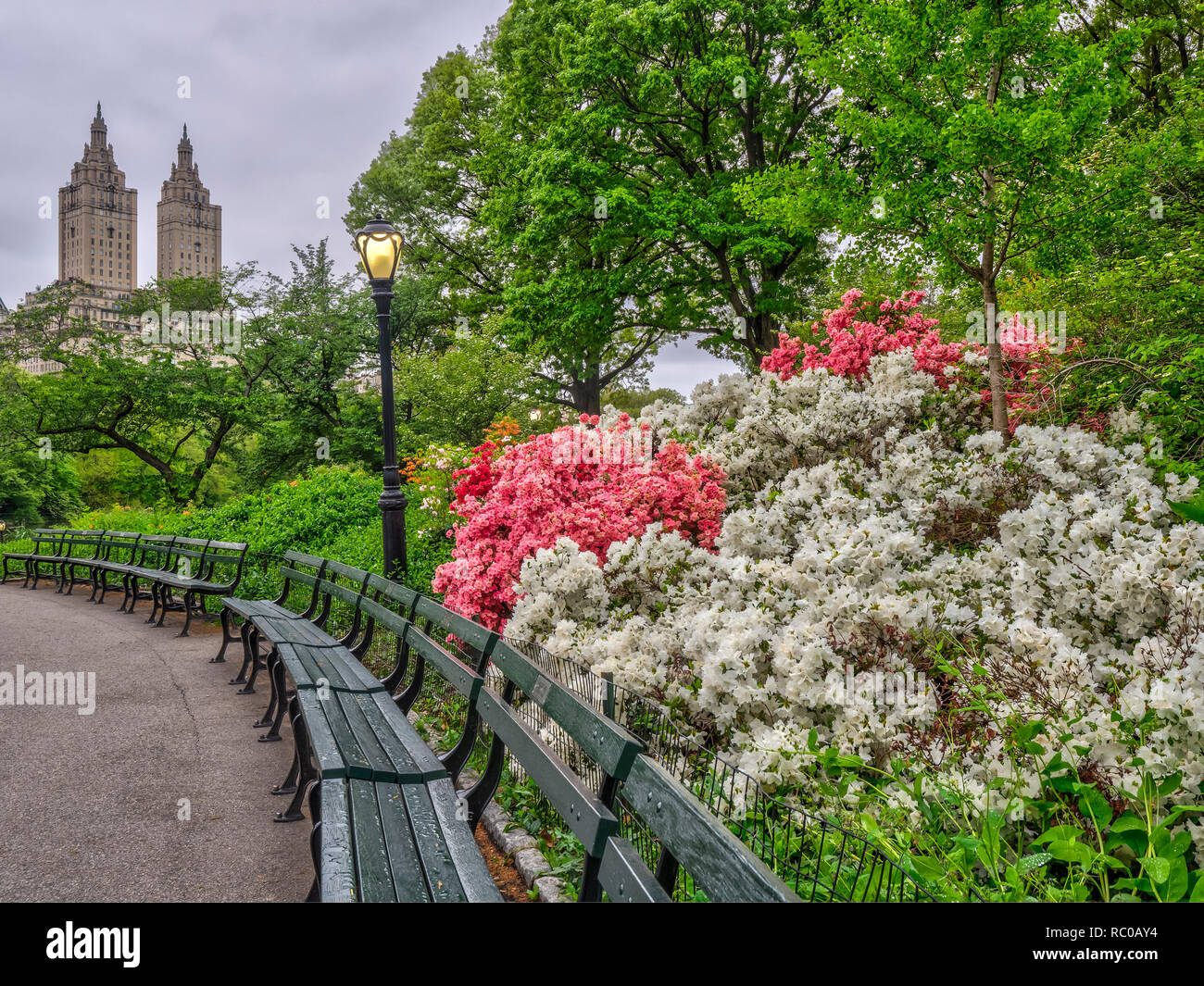 Central Park, Manhattan, New York City in spring Stock Photo - Alamy