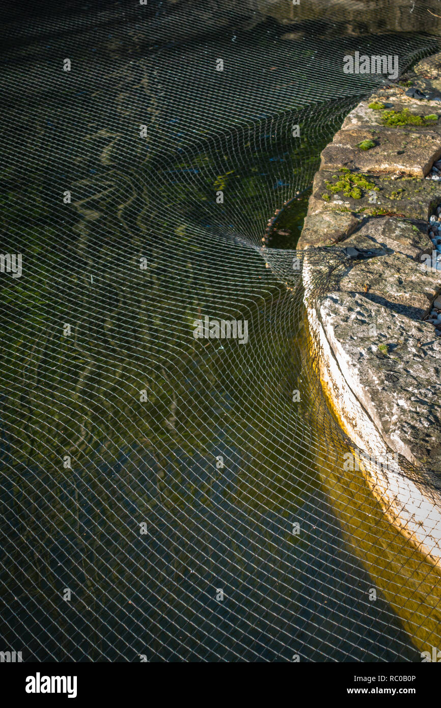 Closeup of netting protecting fish in a garden pond at a home in ...