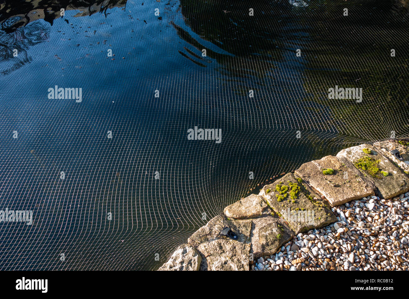 Netting garden pond hi-res stock photography and images - Alamy