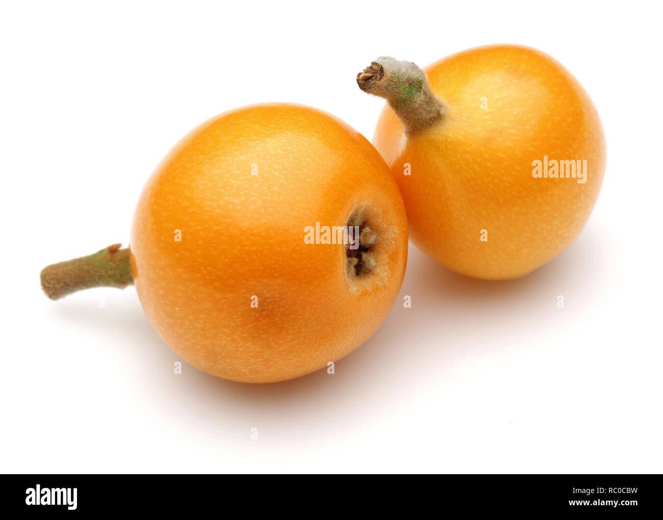 Loquat isolated hi-res stock photography and images - Alamy