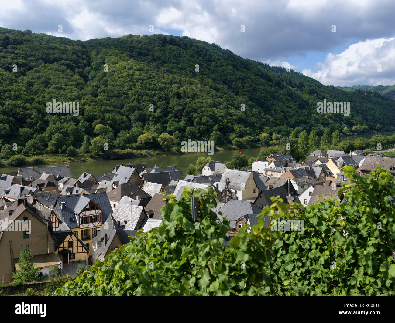 Ediger-Eller, Mittelmosel, Landkreis Cochem-Zell, Rheinland-Pfalz ...