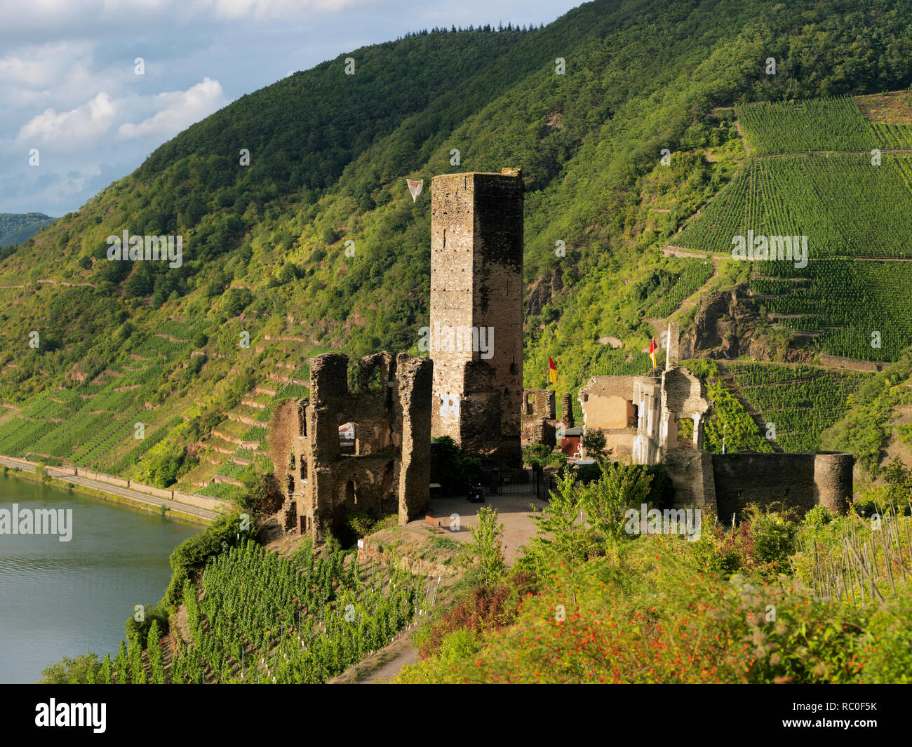 Schloss metternich hi-res stock photography and images - Alamy