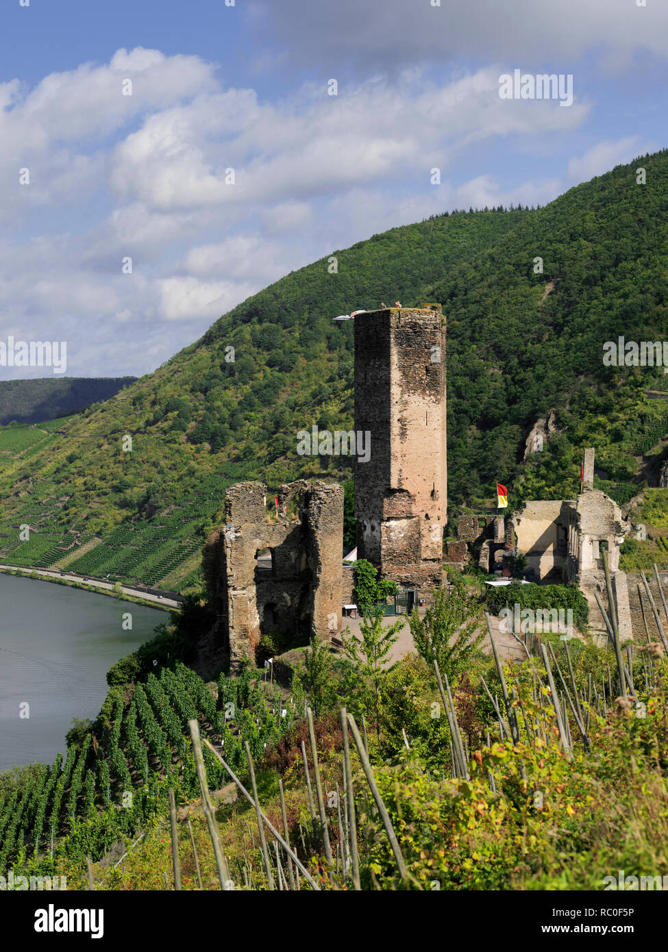 Schloss metternich hi-res stock photography and images - Alamy