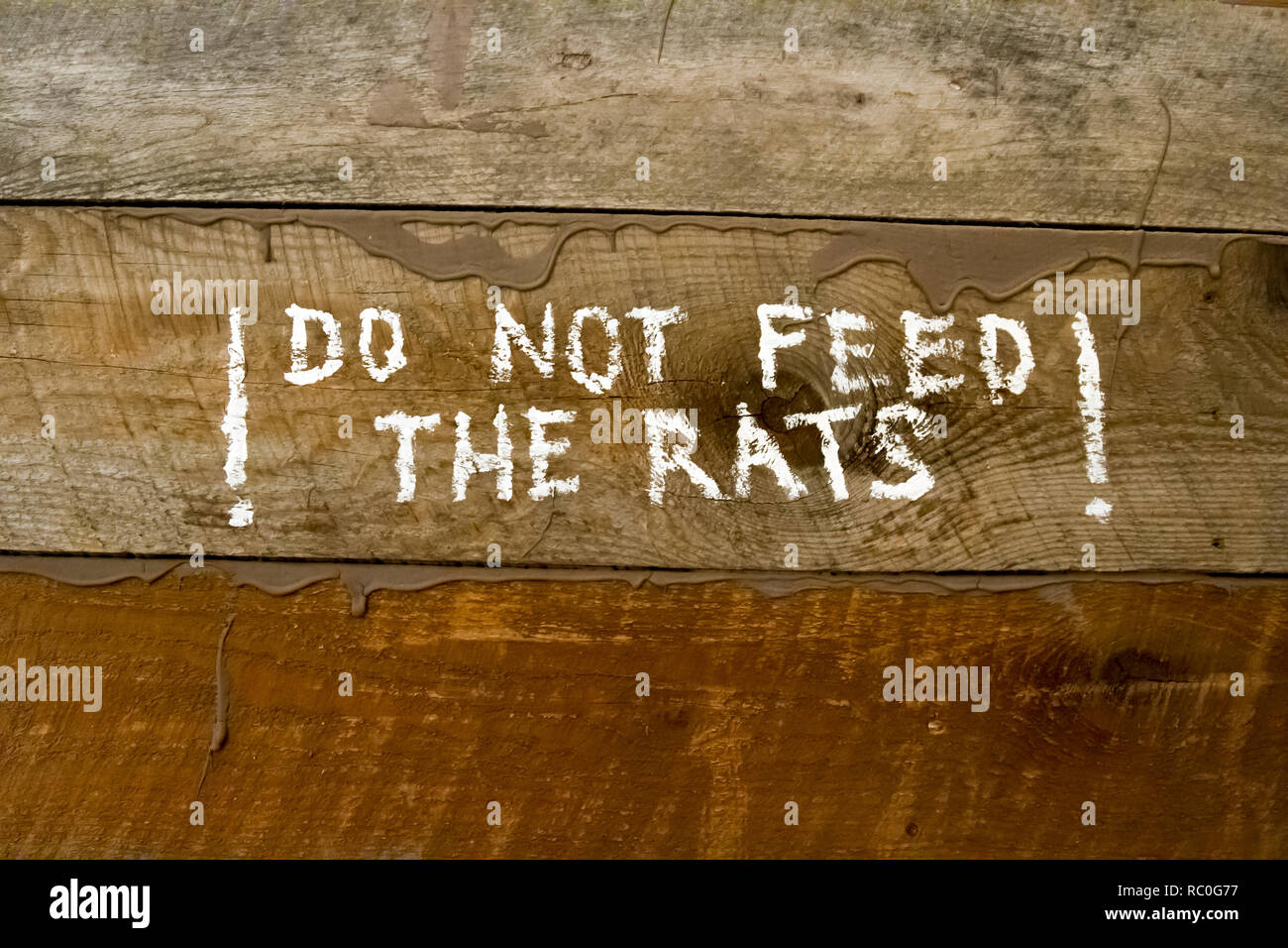 Rats graffiti hi-res stock photography and images - Alamy