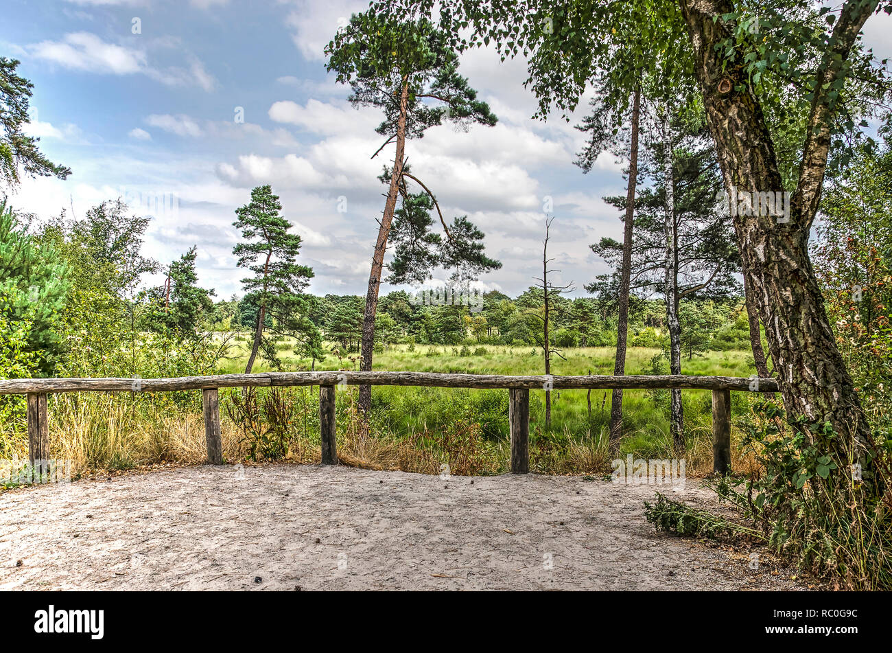 Slightly elevated viewpoint overlooking an open area in Mastbos forest ...