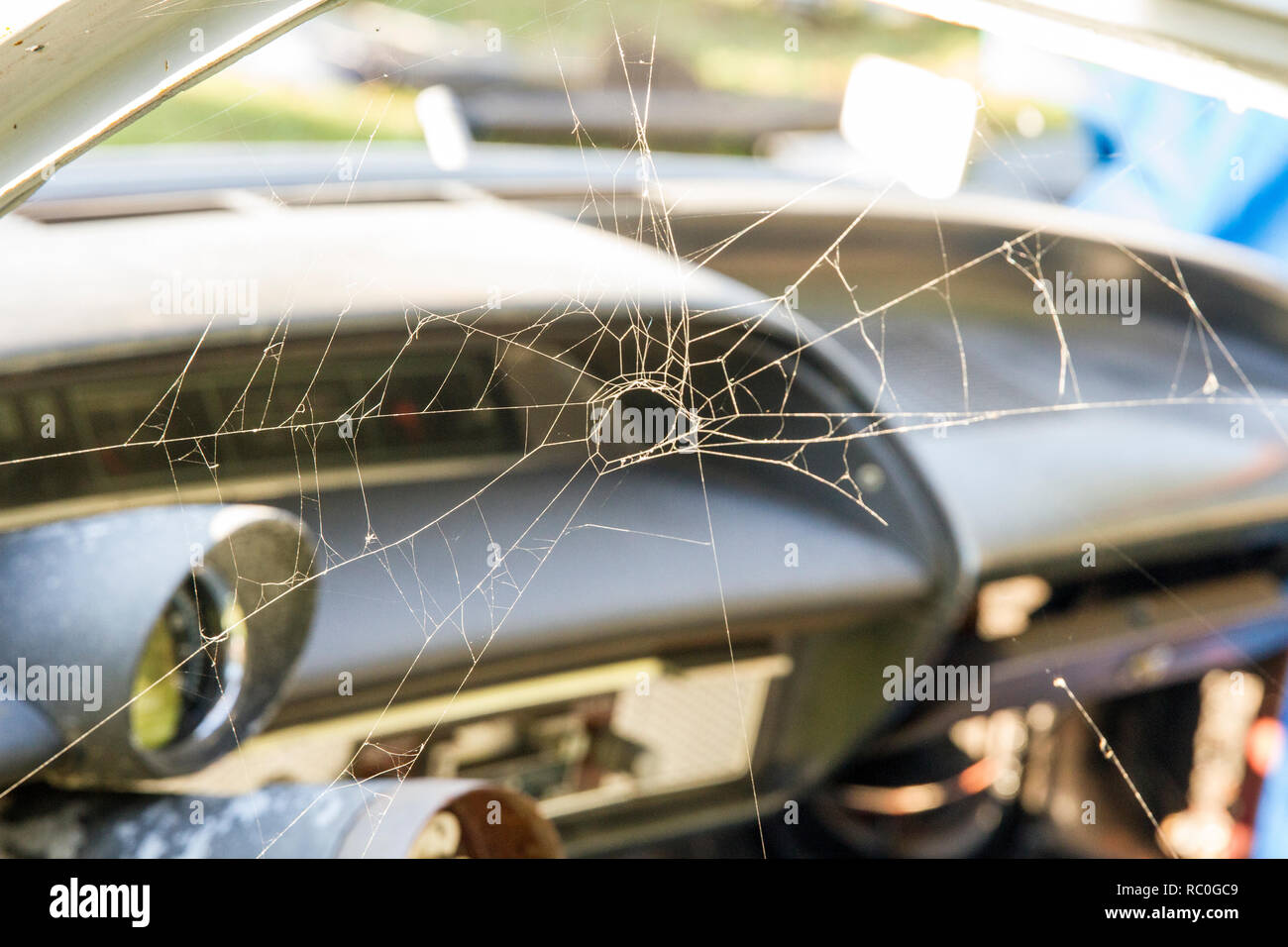 Spider webs in old car Stock Photo - Alamy