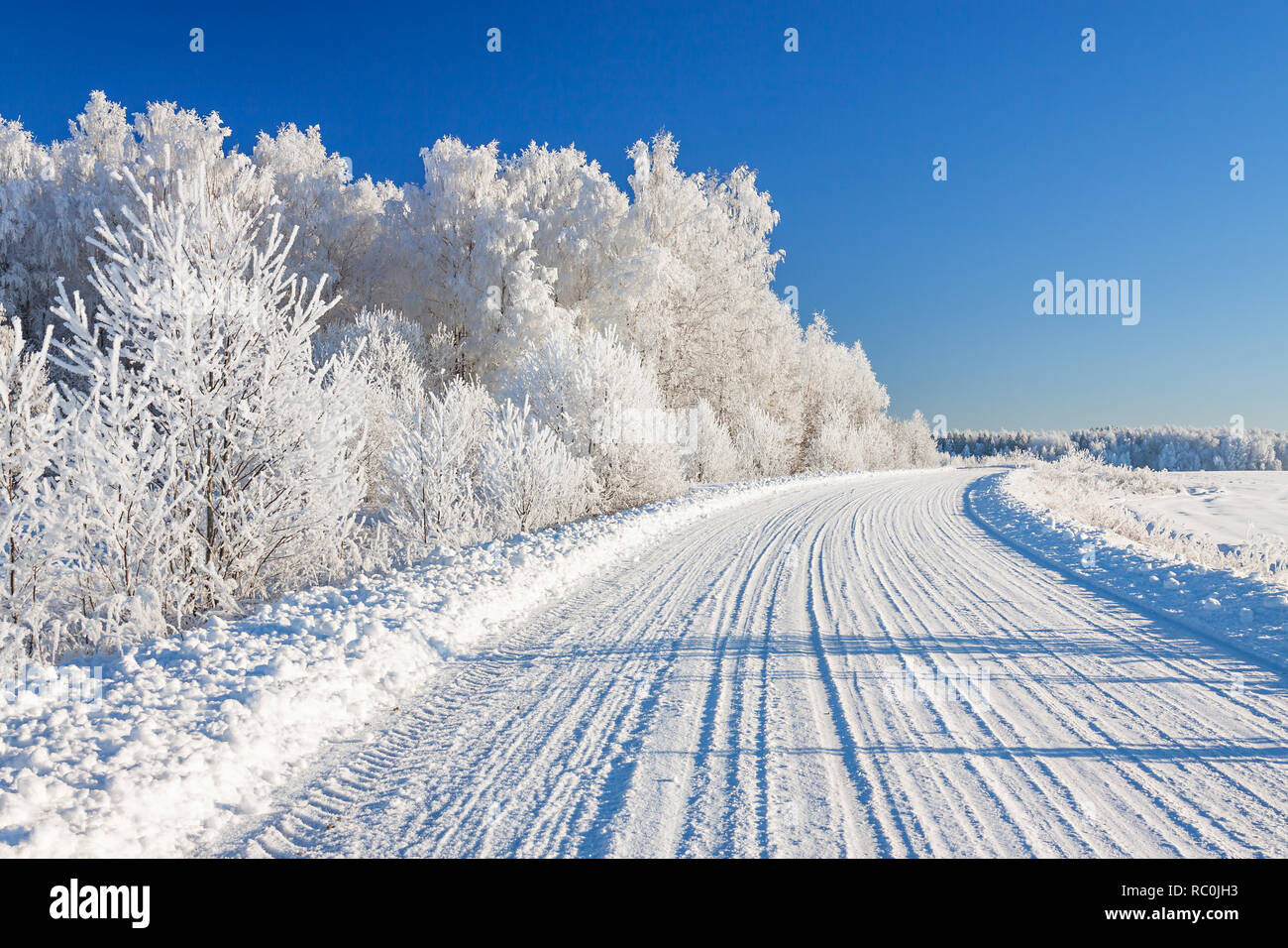 beautiful winter landscape with road and forest. panoramic view of snow Stock Photo - Alamy