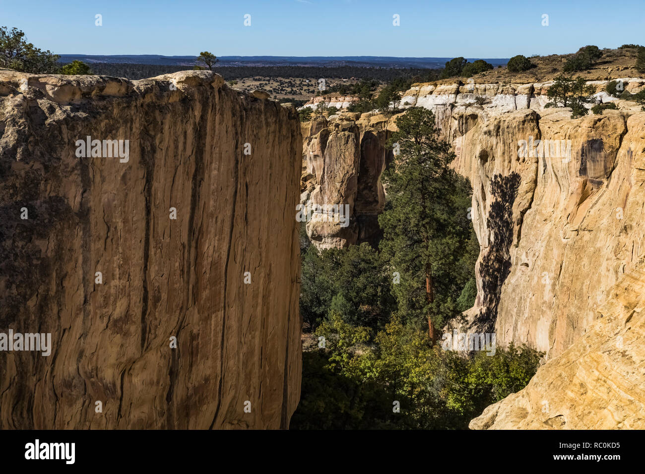 Box Canyon viewed from atop the headland along the Mesa Top Trail in El ...
