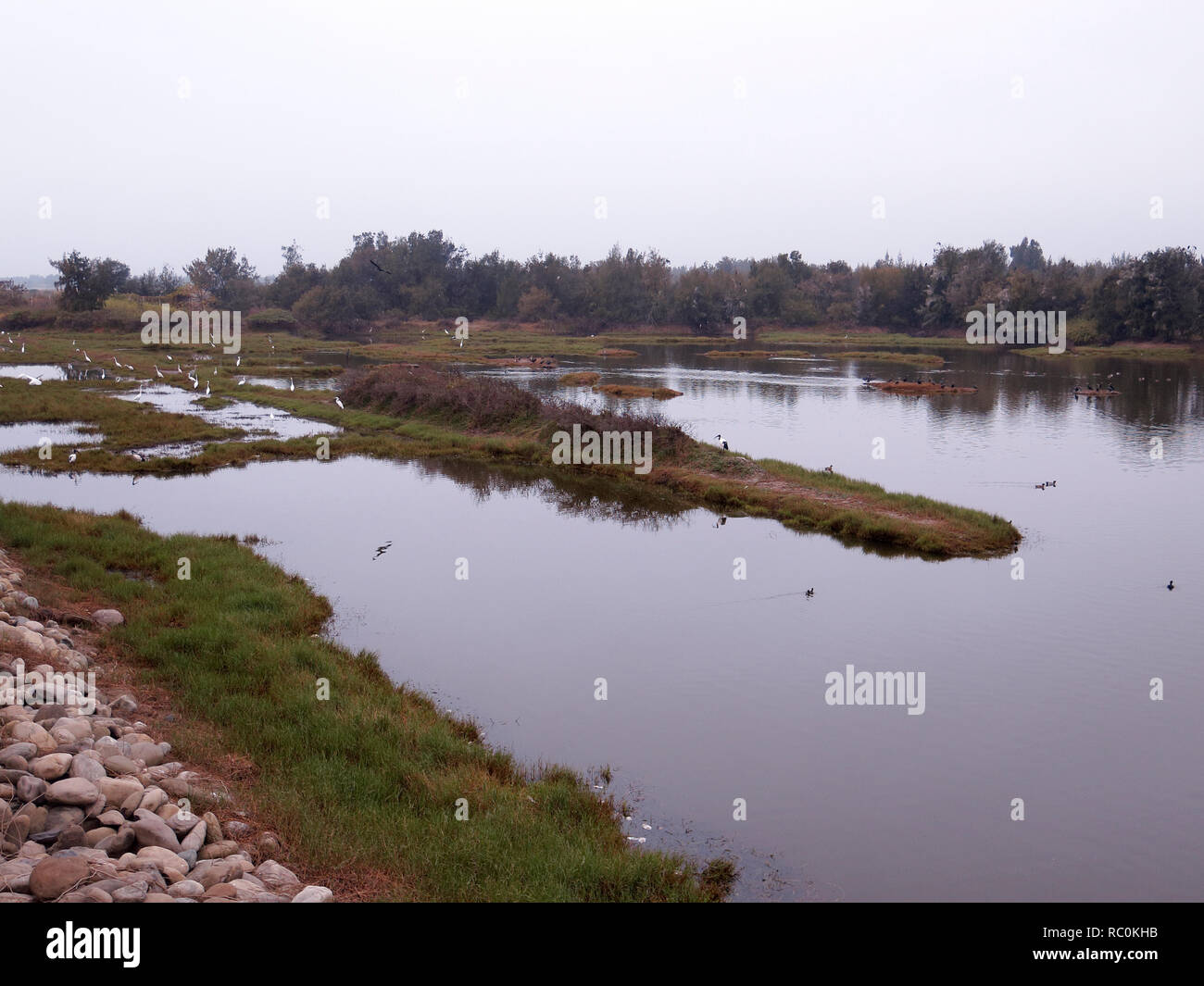 Aogu taiwan hi-res stock photography and images - Alamy