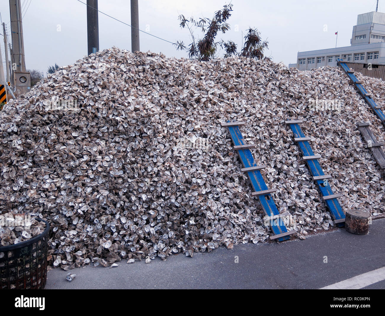 Oyster shells mound hi-res stock photography and images - Alamy