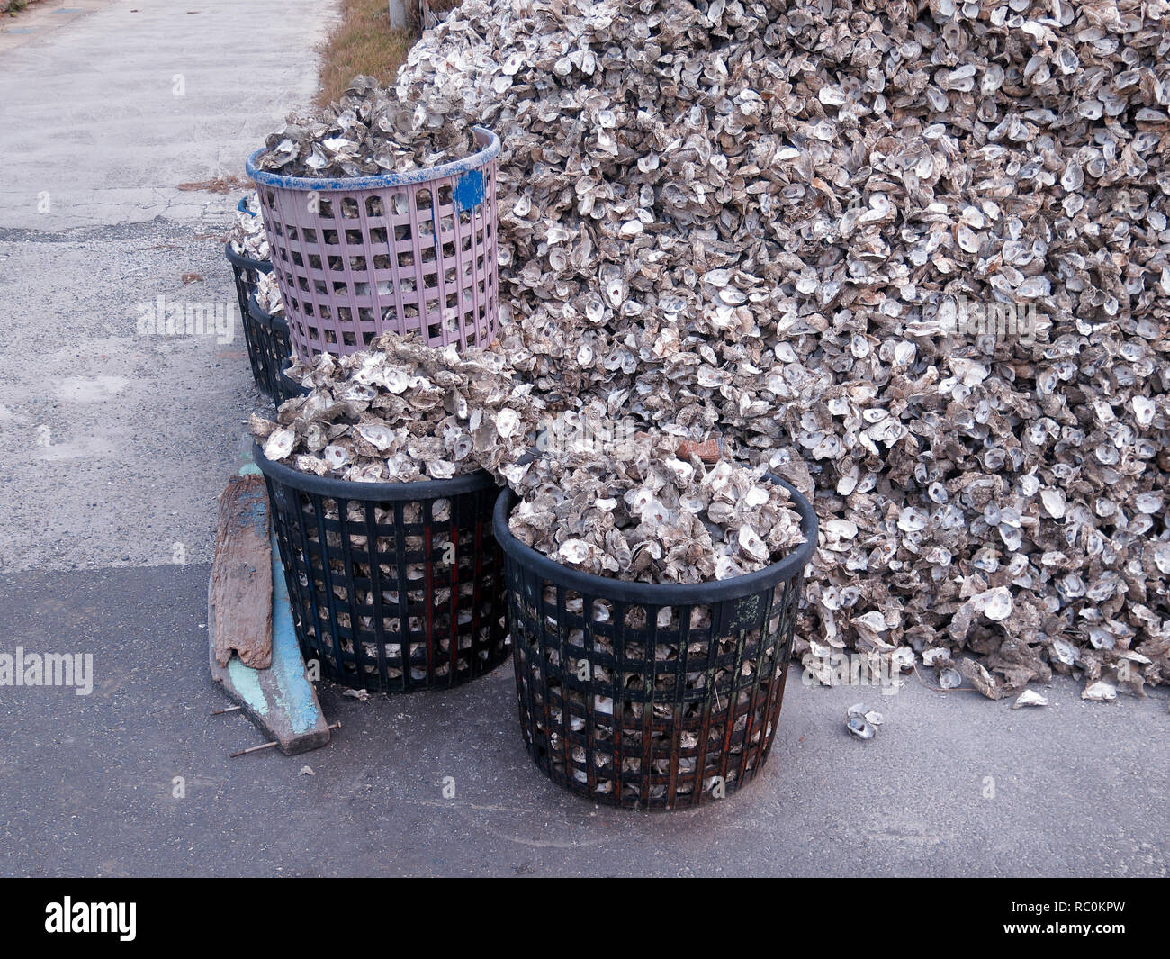 Piles of oyster shells hi-res stock photography and images - Alamy