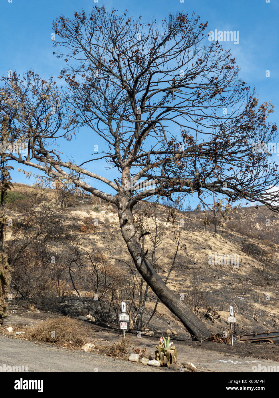 Firestorm la hi-res stock photography and images - Alamy