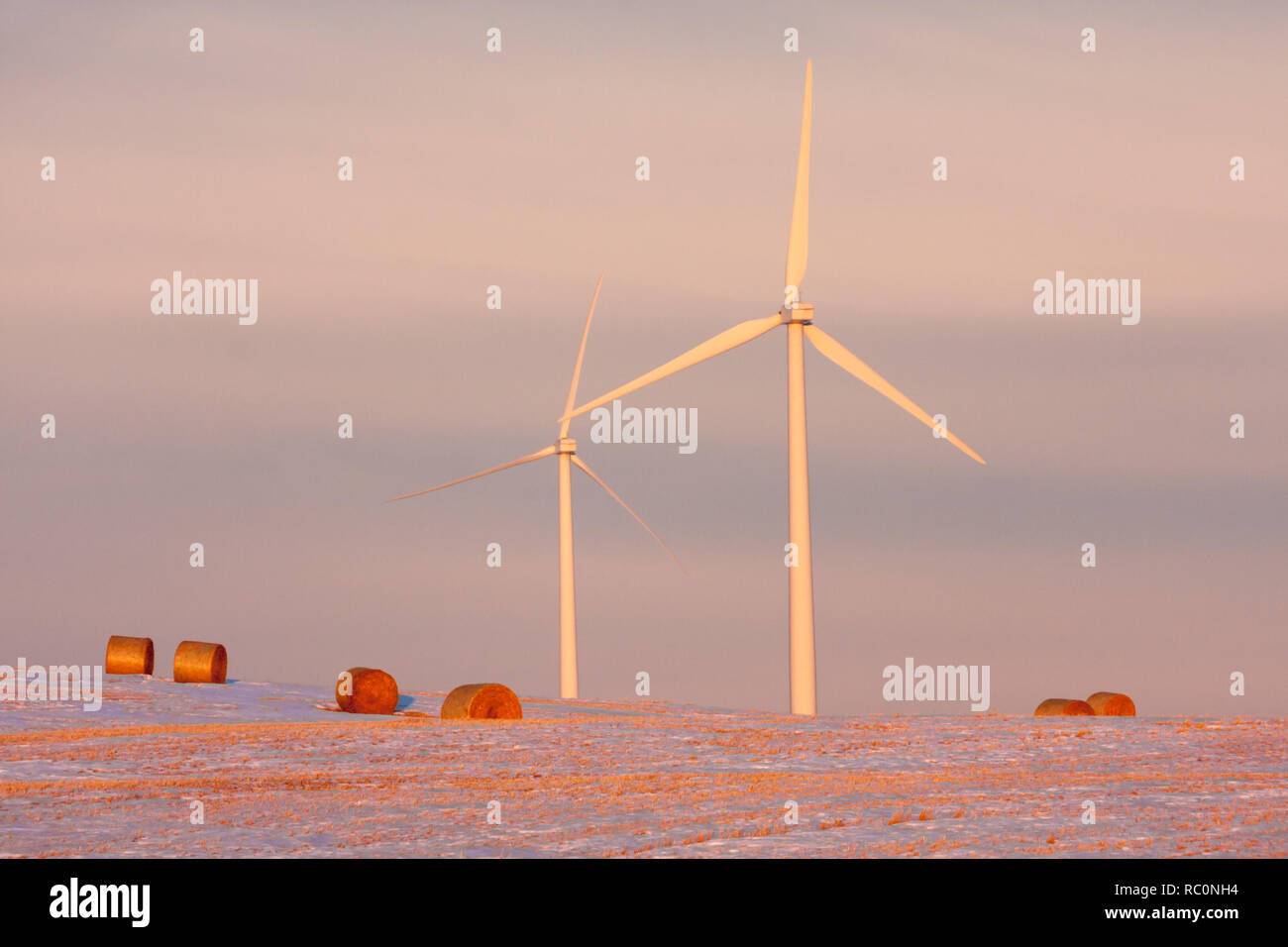 Wind turbines turn in a golden Alberta field with bales and snow ...