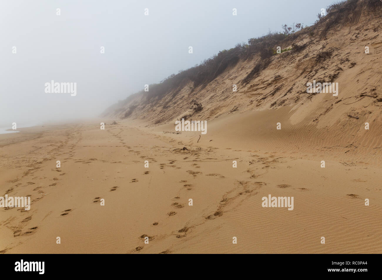Sedgefield beach hi-res stock photography and images - Alamy
