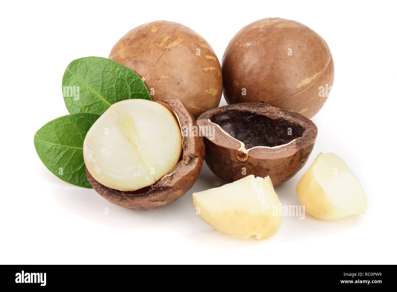 Shelled and unshelled macadamia nuts isolated on white background Stock ...