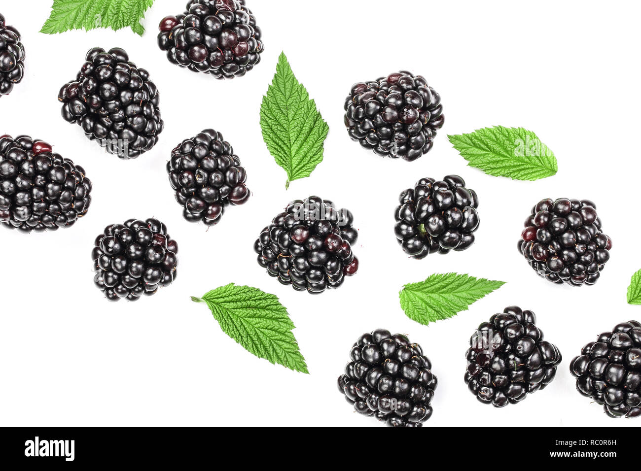 Fresh blackberry with leaves isolated on white background with copy ...