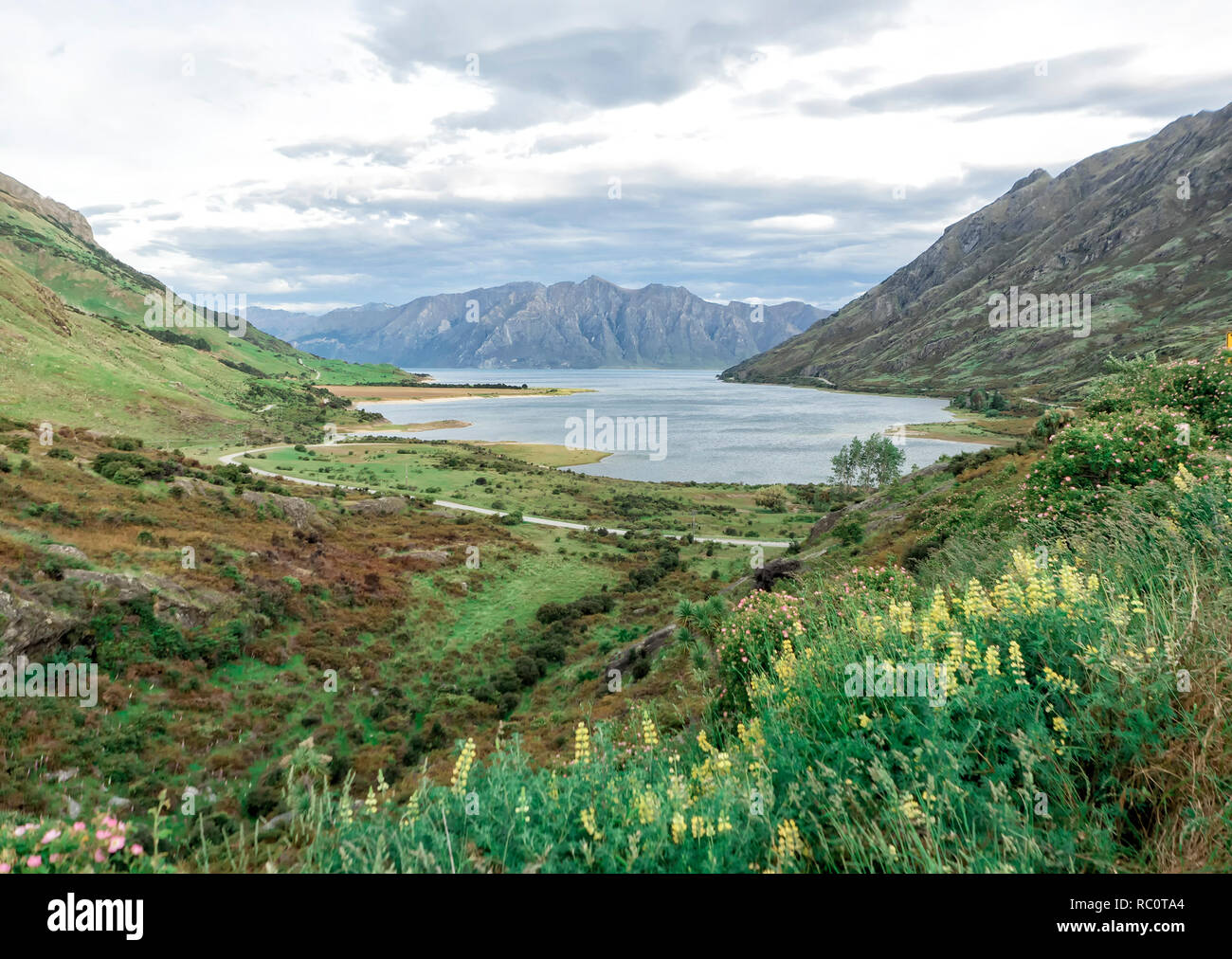 Lake Hawea, New Zealand, South Island, NZ Stock Photo - Alamy