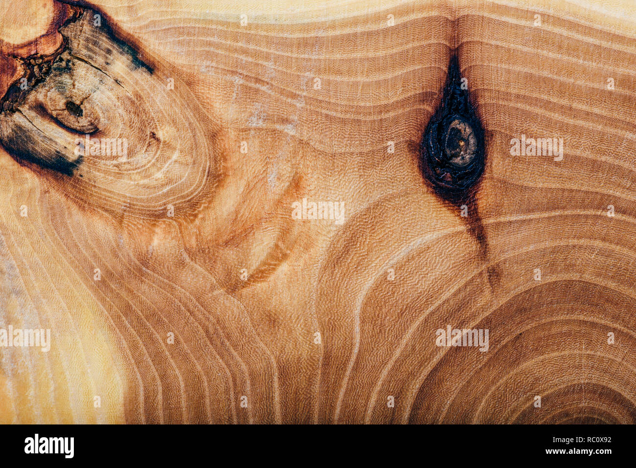 Ash wood slab texture with annual rings, background or wallpaper Stock ...