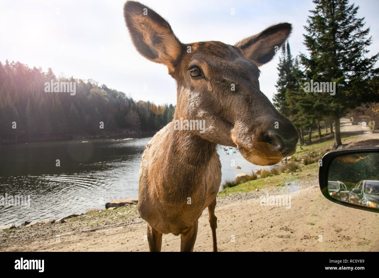 Sumer activity hi-res stock photography and images - Alamy