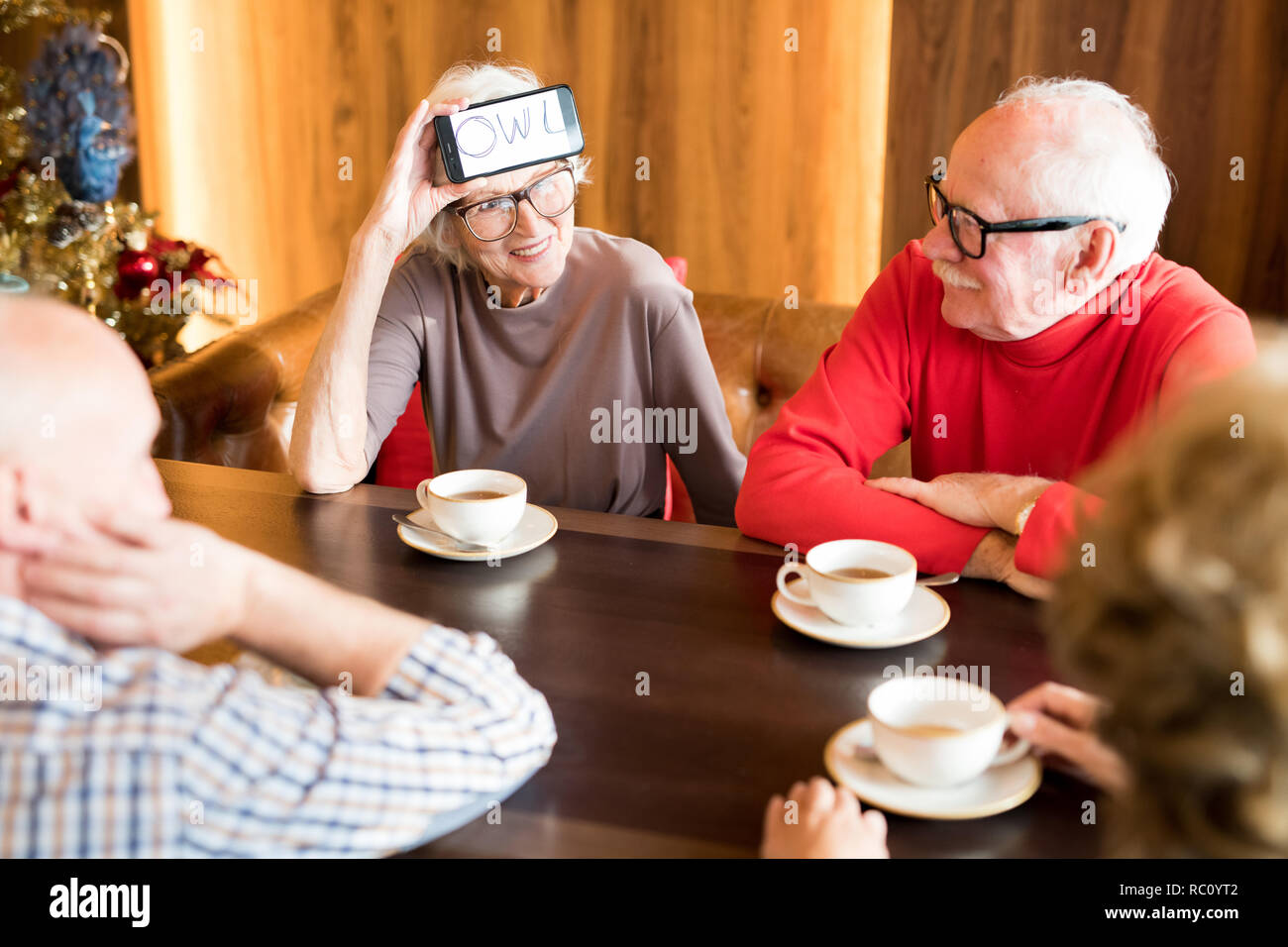 Smiling senior lady playing word-guessing game with best friends Stock ...