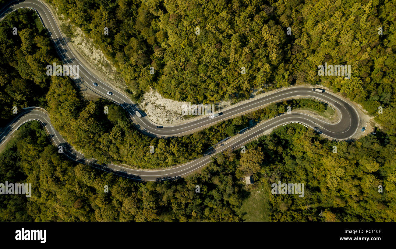 Great road trip trough the dense woods Stock Photo - Alamy