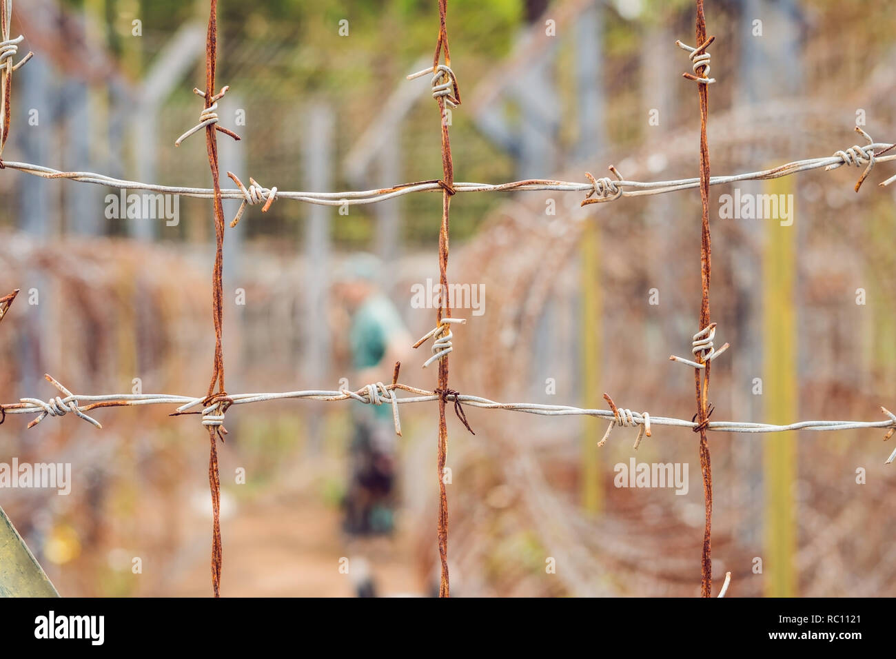 Barbed wire, a fence in prison and the silhouette of a prison guard on ...