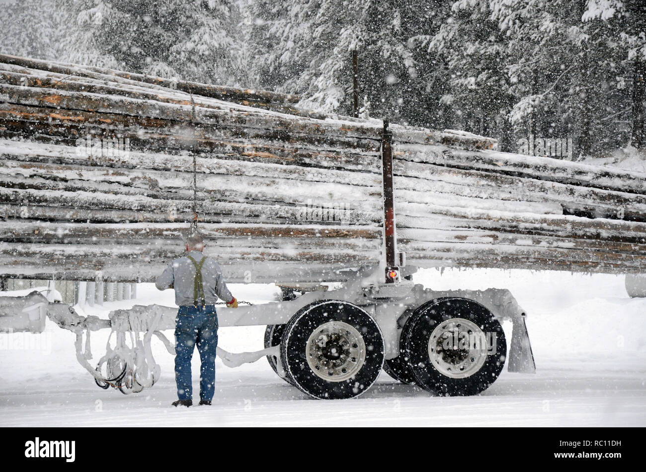Log truck hi-res stock photography and images - Alamy