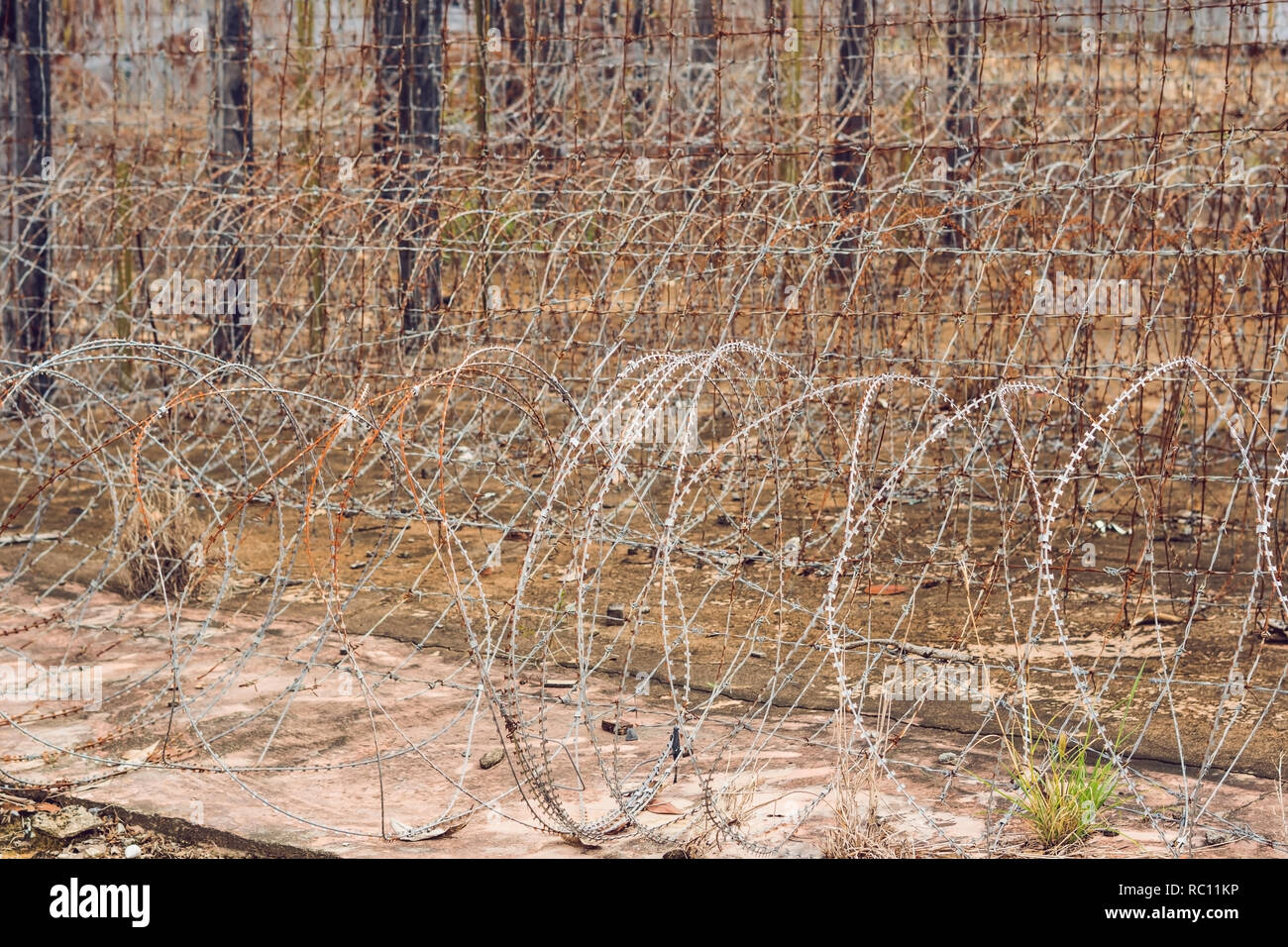 Barbed wire, a fence in prison. Prison concept Stock Photo - Alamy