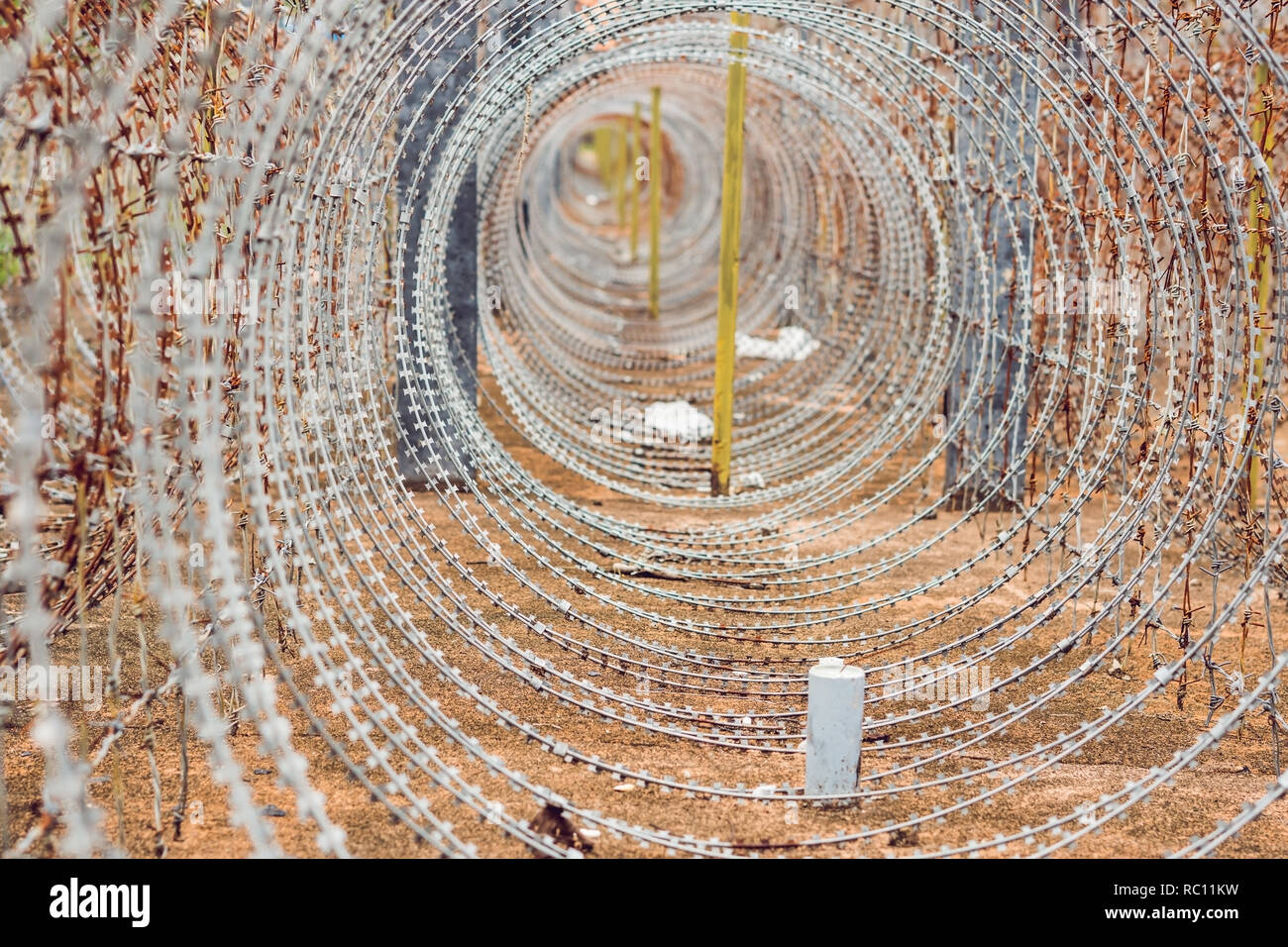 Barbed wire, a fence in prison. Prison concept Stock Photo - Alamy