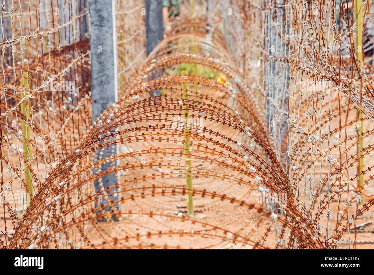 Barbed wire, a fence in prison. Prison concept Stock Photo - Alamy