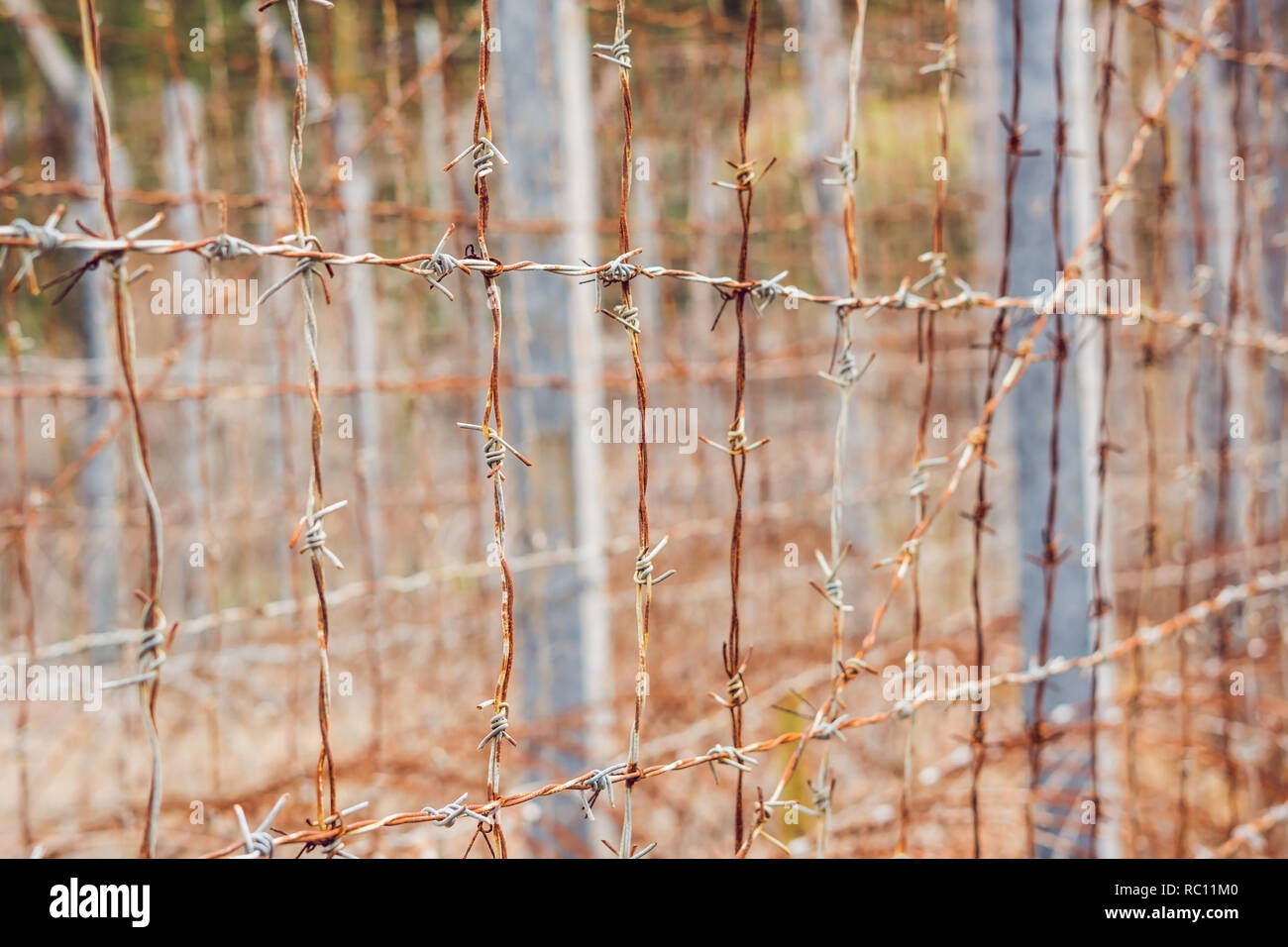 Barbed wire, a fence in prison. Prison concept Stock Photo - Alamy