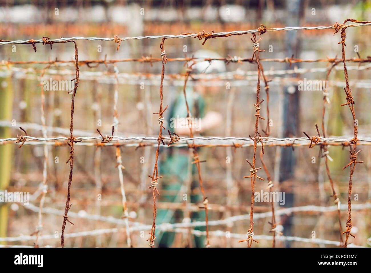 Barbed wire, a fence in prison and the silhouette of a prison guard on ...