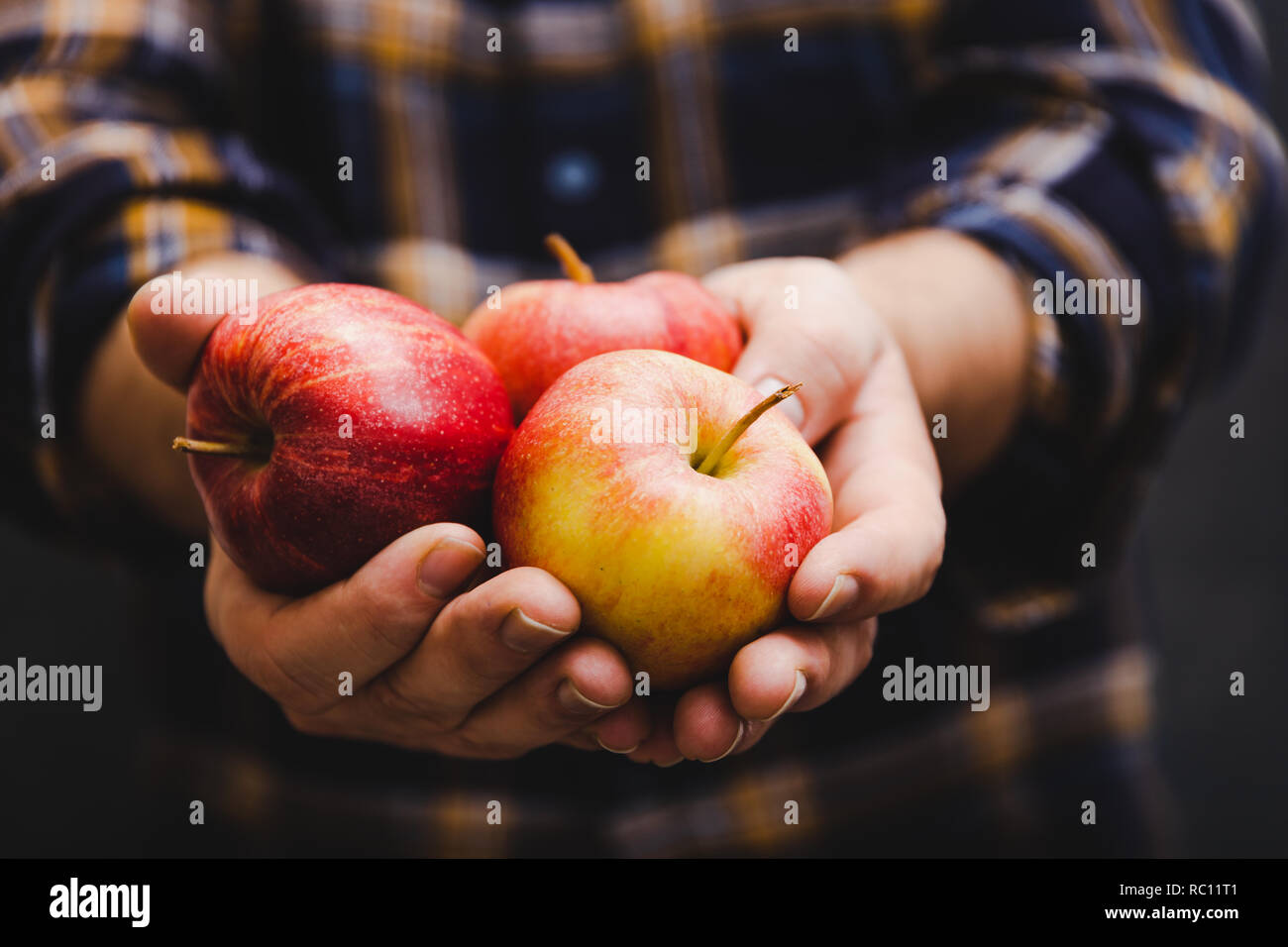 man holding apples in his hands wearing flannel, farm produce and ...