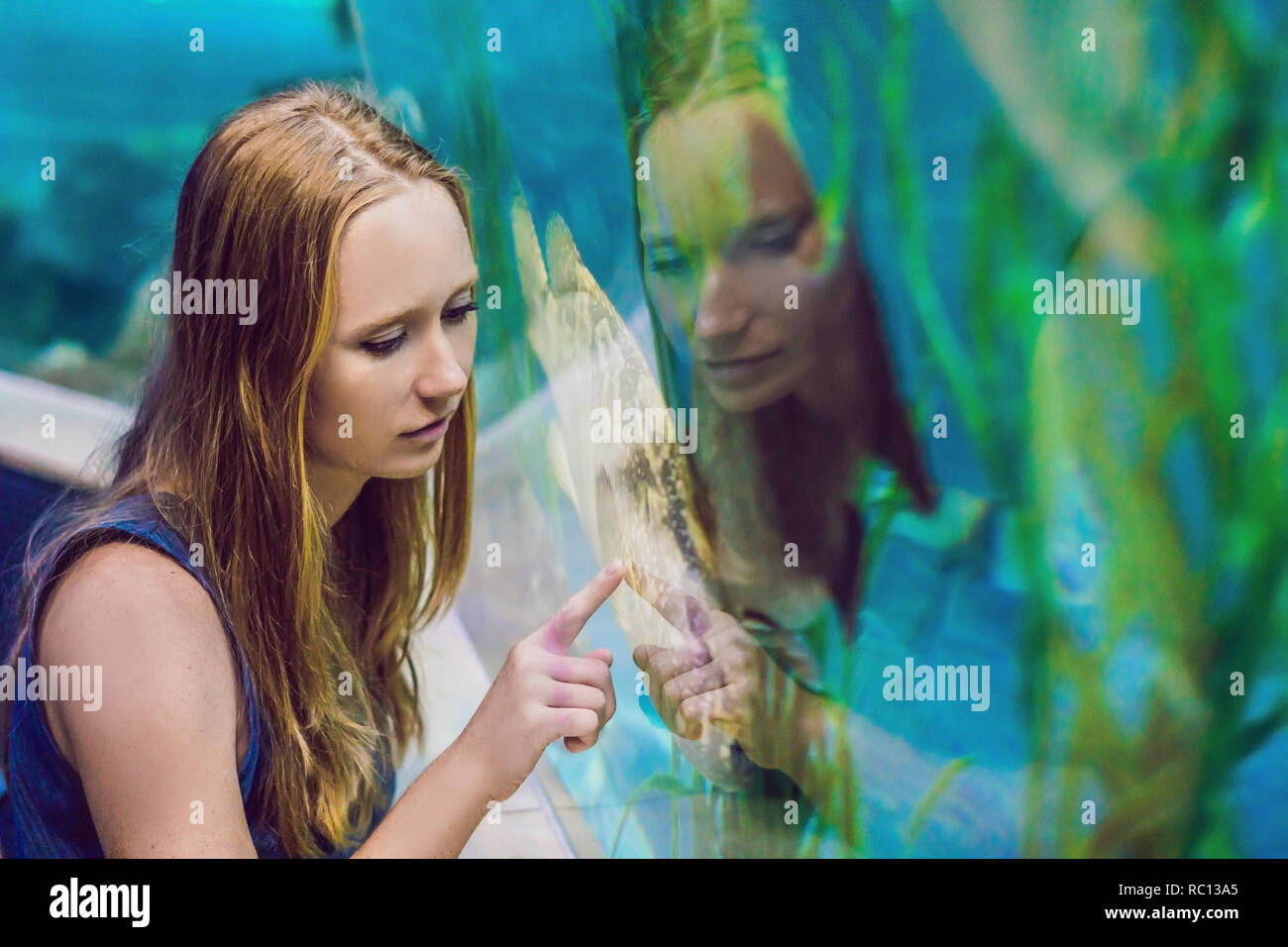 Young woman looking at fish in a tunnel aquarium Stock Photo - Alamy