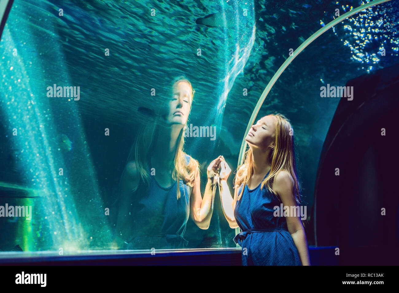 Young woman looking at fish in a tunnel aquarium Stock Photo - Alamy
