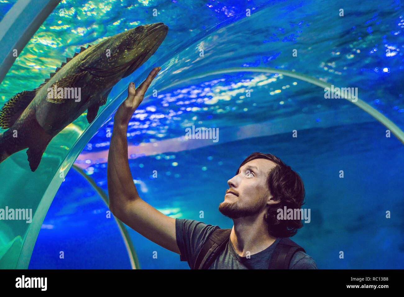 Man swimming underwater in aquarium hi-res stock photography and images ...