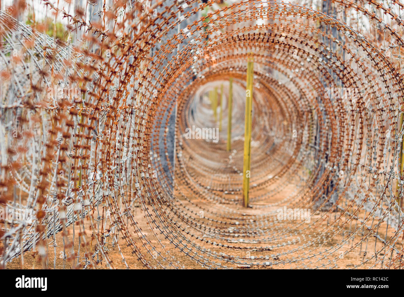 Barbed wire, a fence in prison. Prison concept Stock Photo - Alamy