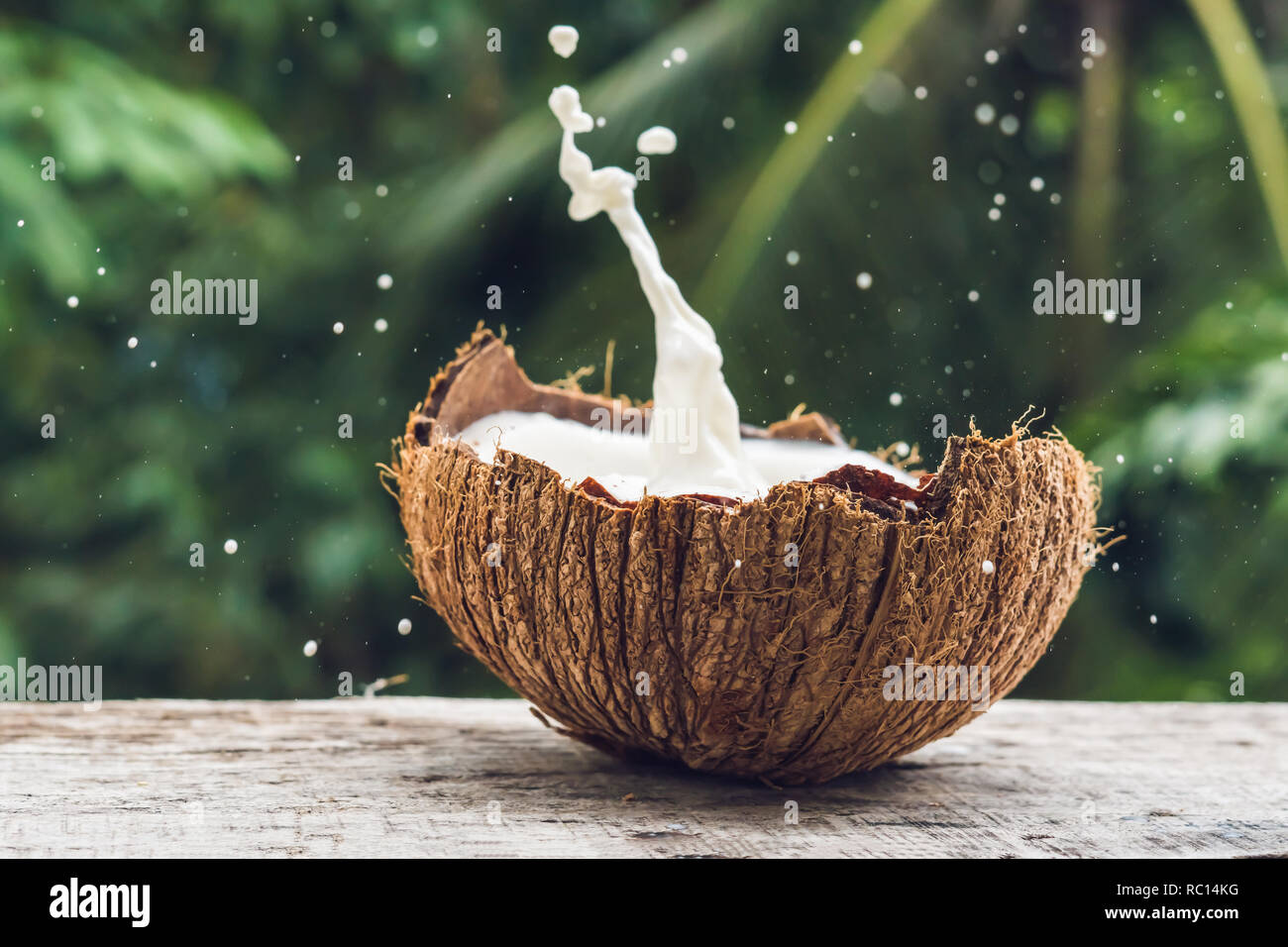 Coconut fruit and milk splash inside it on a background of a palm tree ...