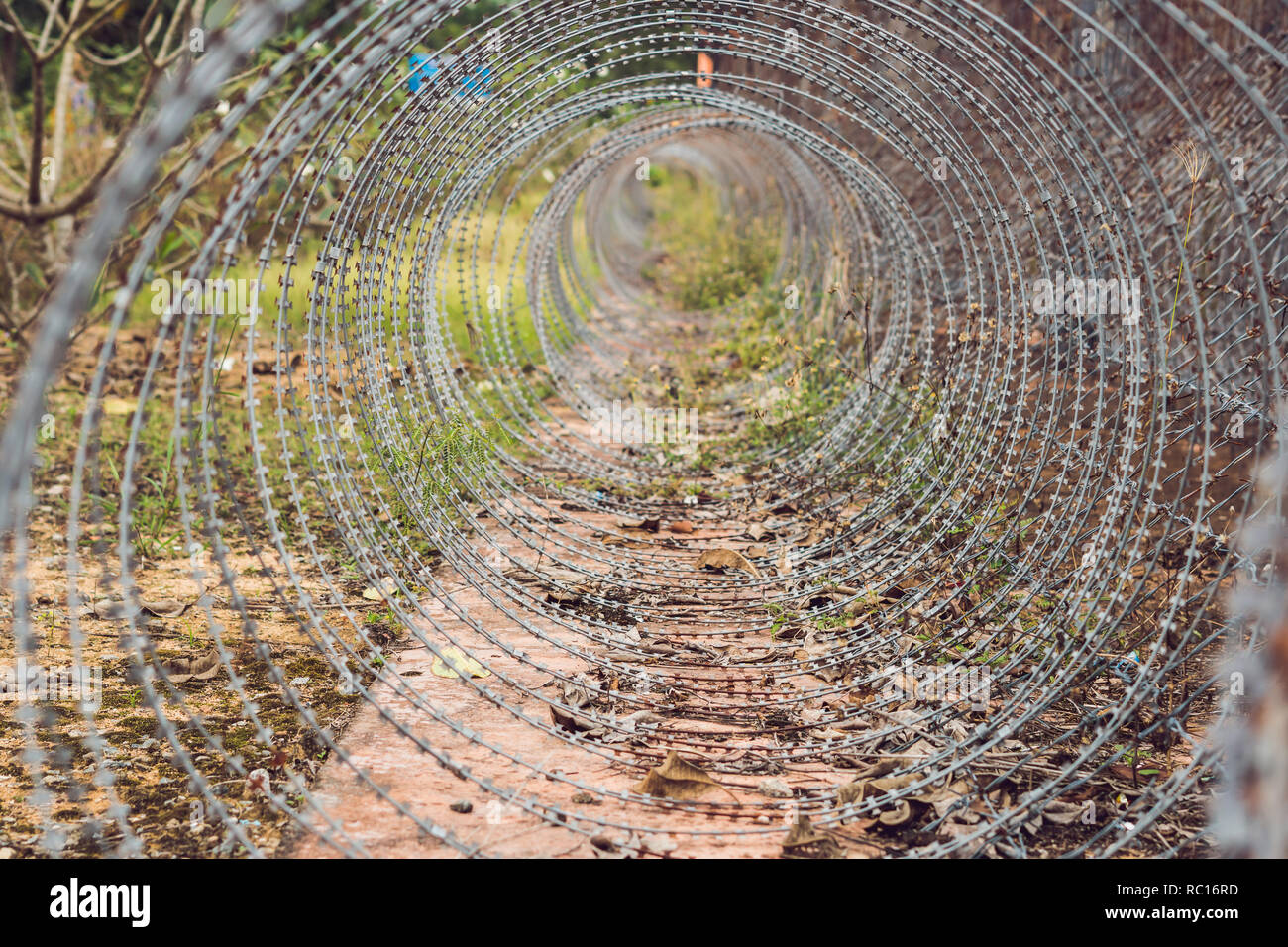 Barbed wire, a fence in prison. Prison concept Stock Photo - Alamy