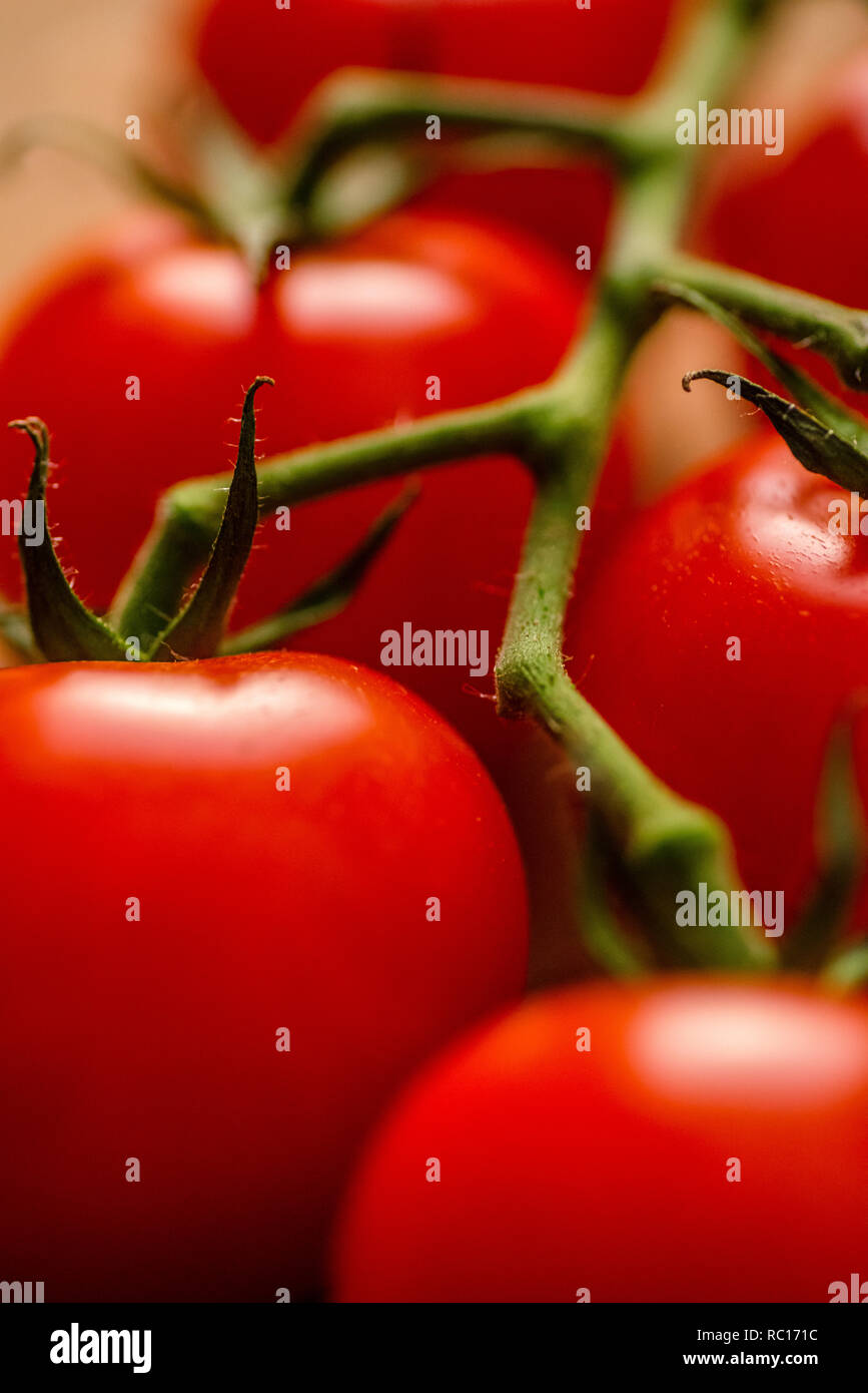 Fresh, ripe plump red truss tomatoes close up Stock Photo - Alamy
