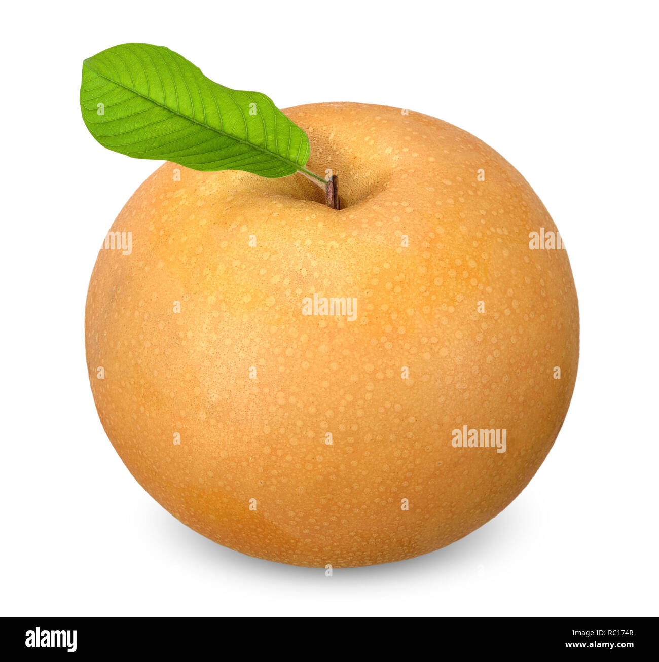 Snow pear or Fengsui pear isolated with clipping path Stock Photo - Alamy
