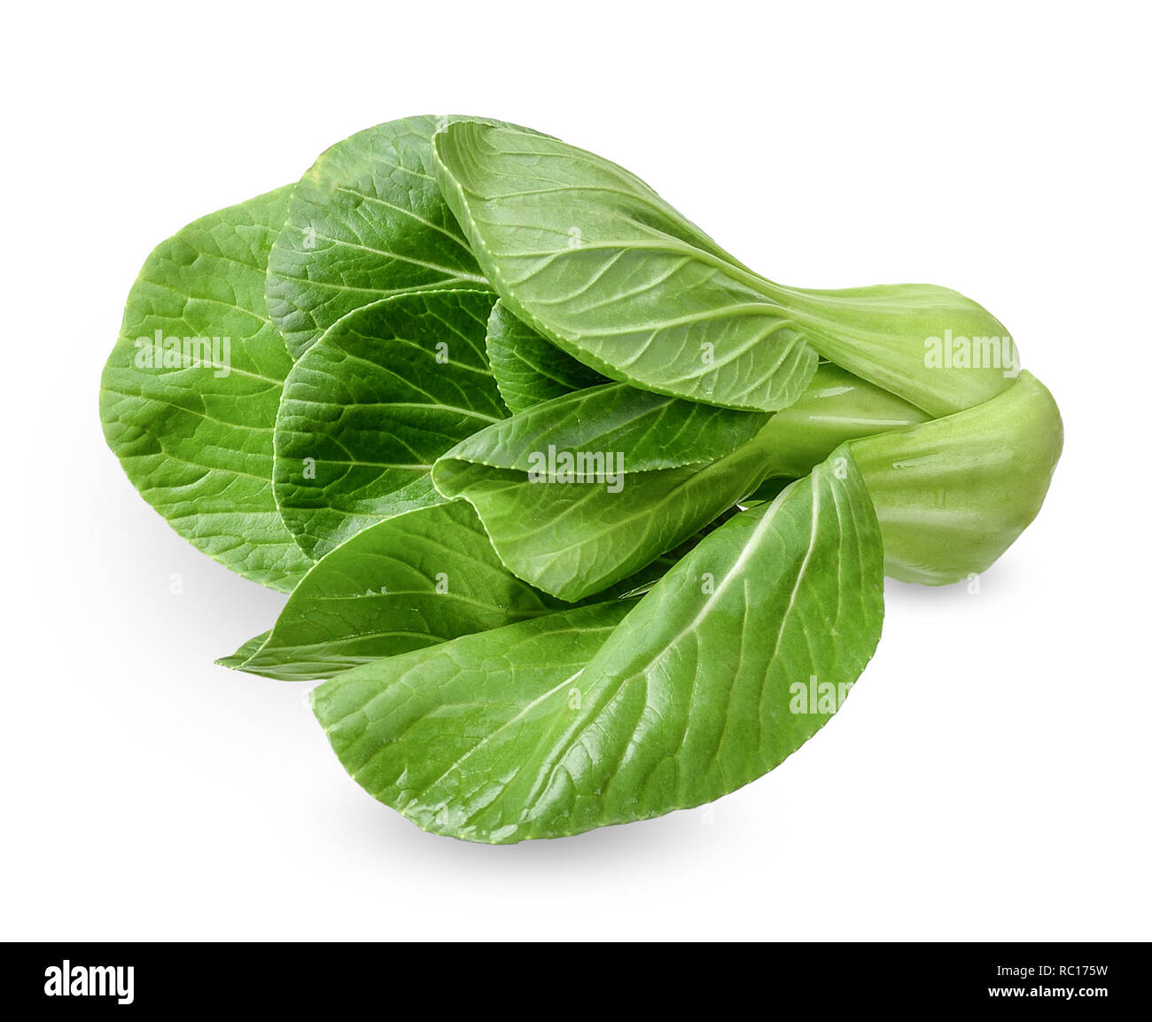 Bok choy vegetable isolated on white clipping path Stock Photo - Alamy
