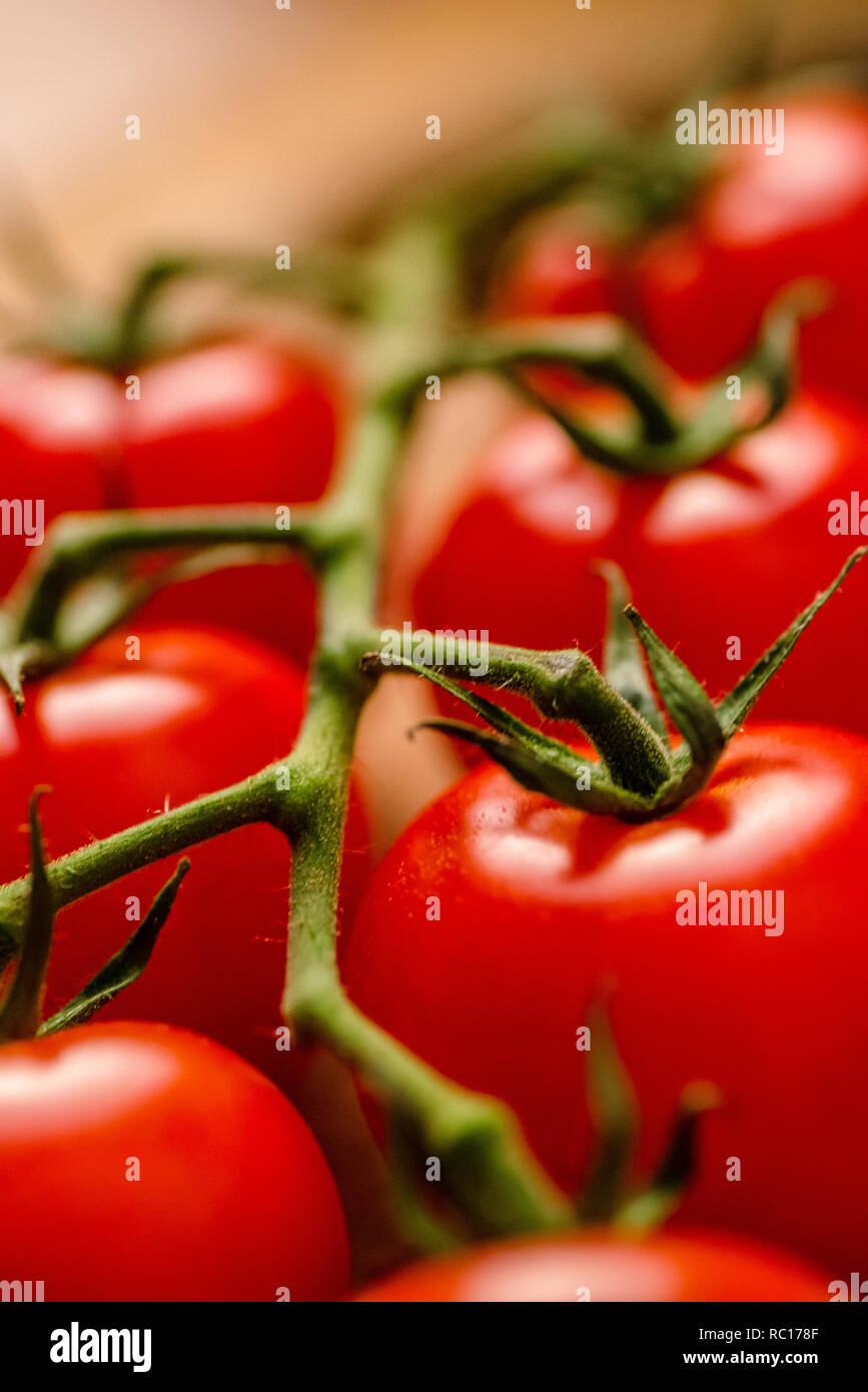 Fresh, ripe plump red truss tomatoes close up Stock Photo - Alamy
