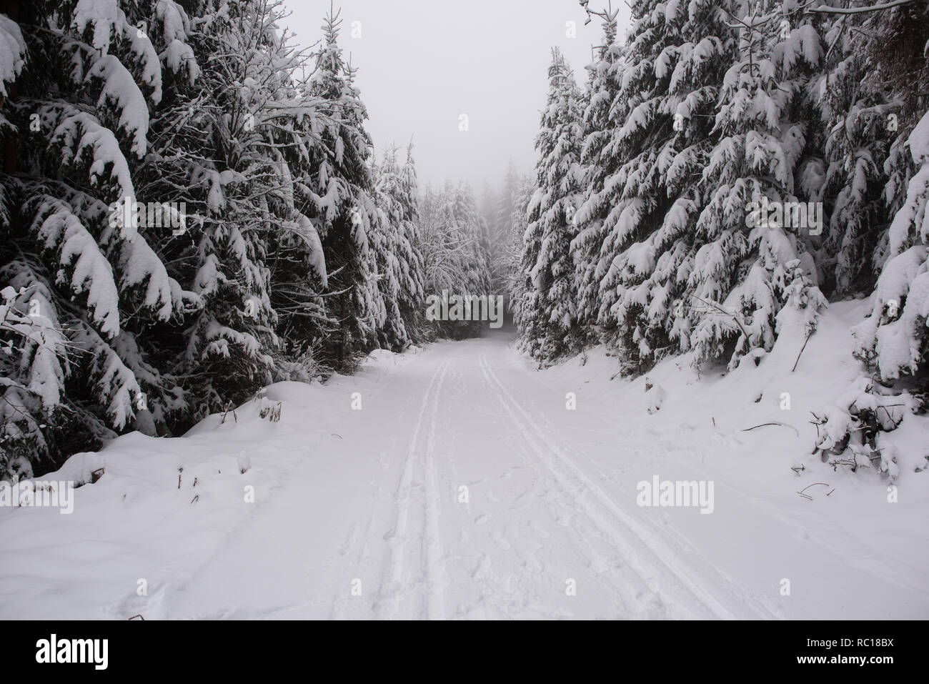 Schwarzwald germany ski hi-res stock photography and images - Alamy