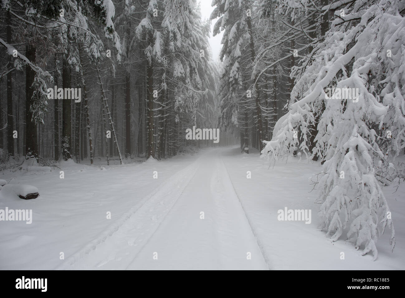 Schwarzwald germany ski hi-res stock photography and images - Alamy