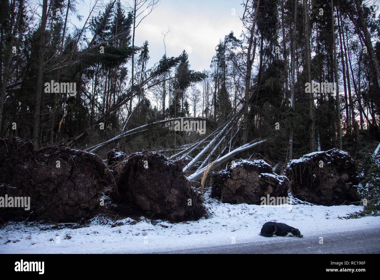 Storm Alfrida, Åland islands, Baltic Sea, Finland, 12 January 2019 ...